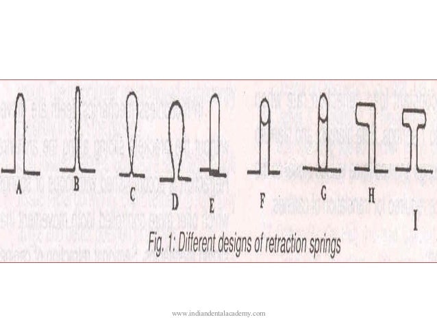 Loops in orthodontics /certified fixed orthodontic courses by Indian…
