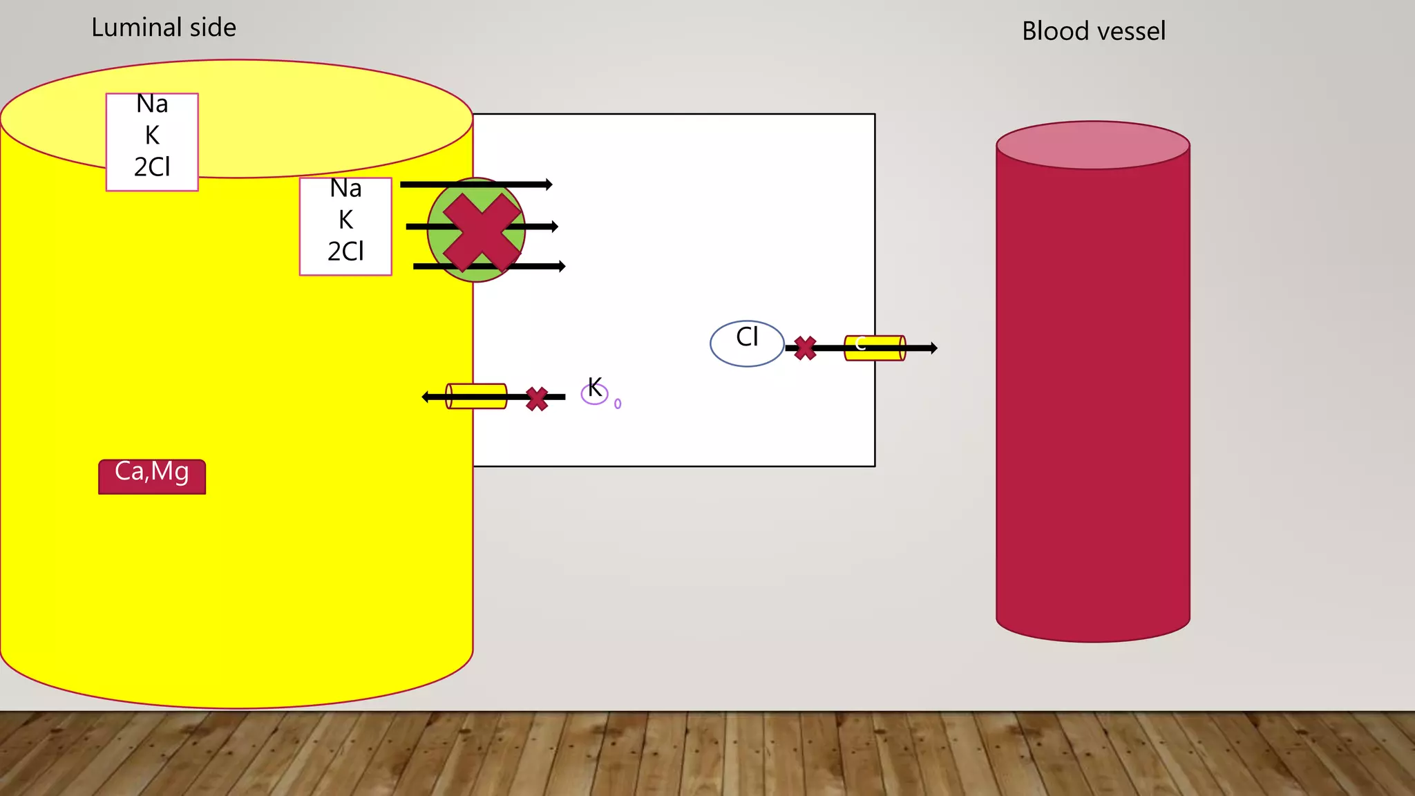 Loop diuretics | PPTX
