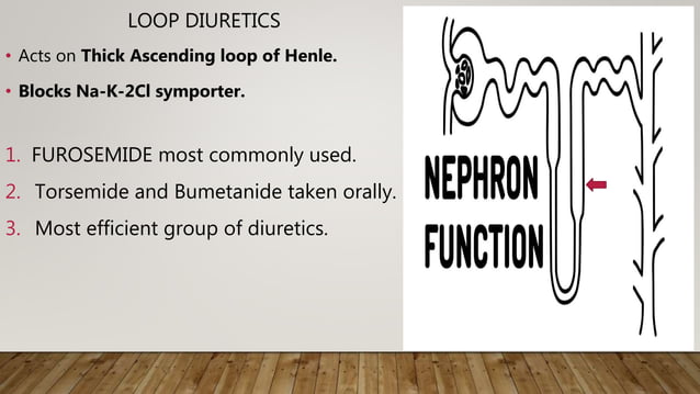 Loop diuretics | PPT