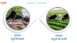 Vachan Present ,Loose vs packed milk | PPT