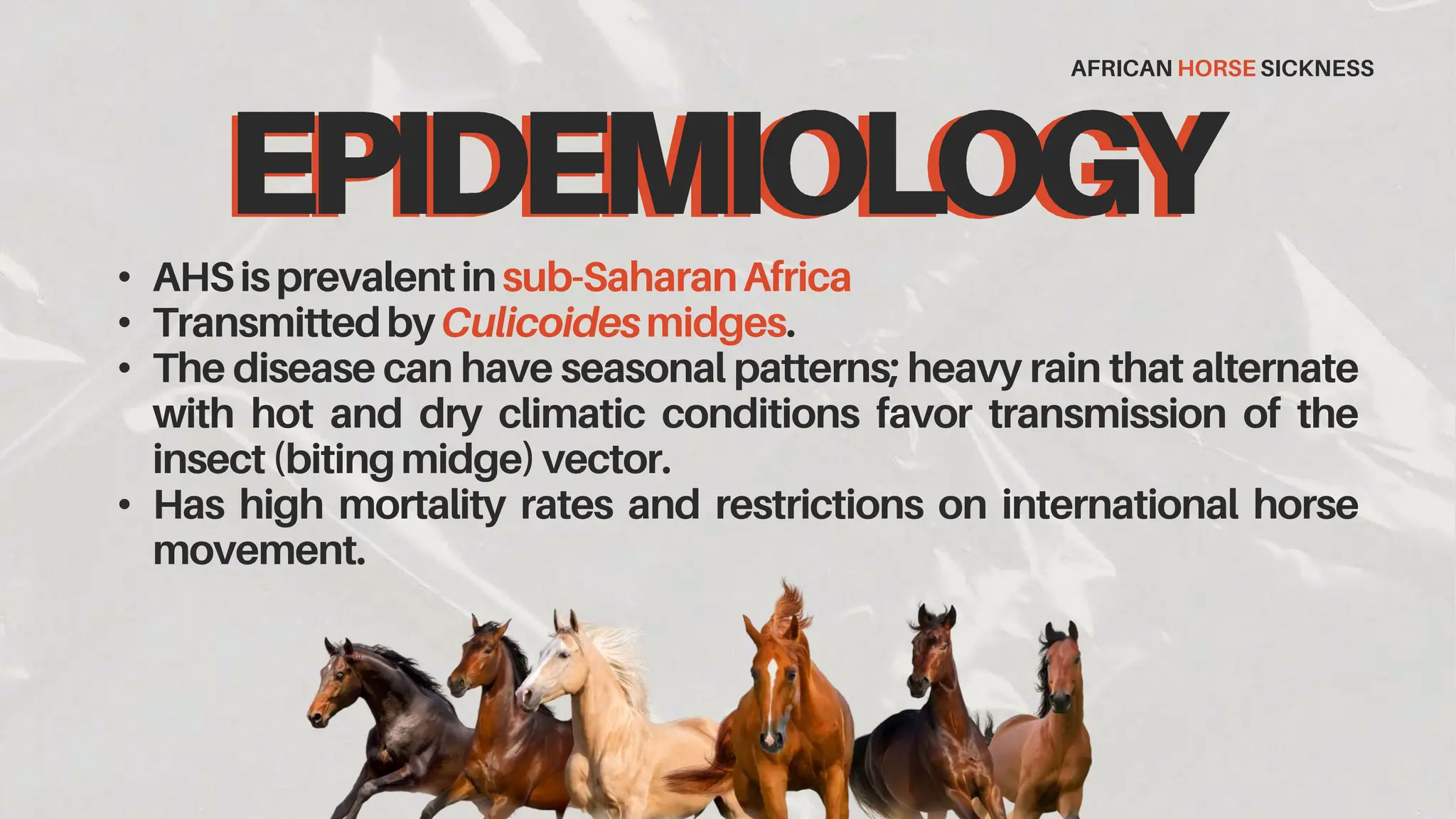 African Horse Sickness for Equine Medicine | PPTX