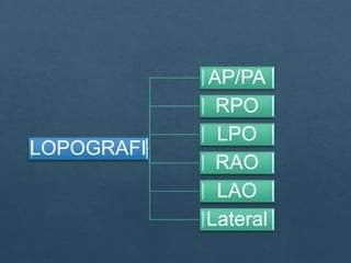 ppt kritisi dan evaluasi radiograf Lopografi | PPTX