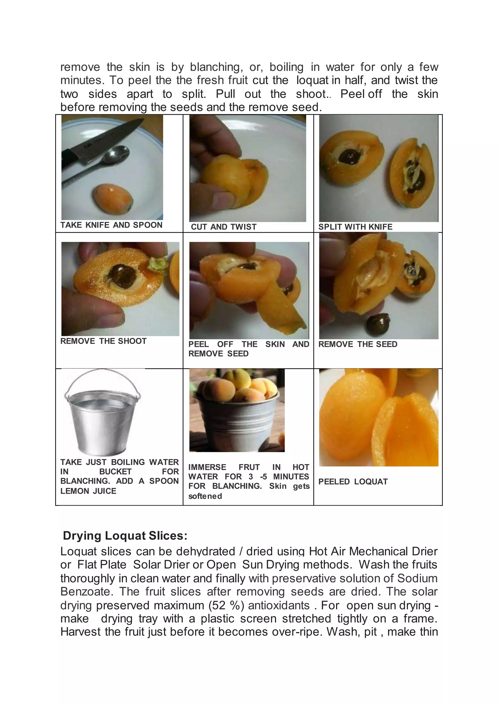 Loquat processing | DOCX