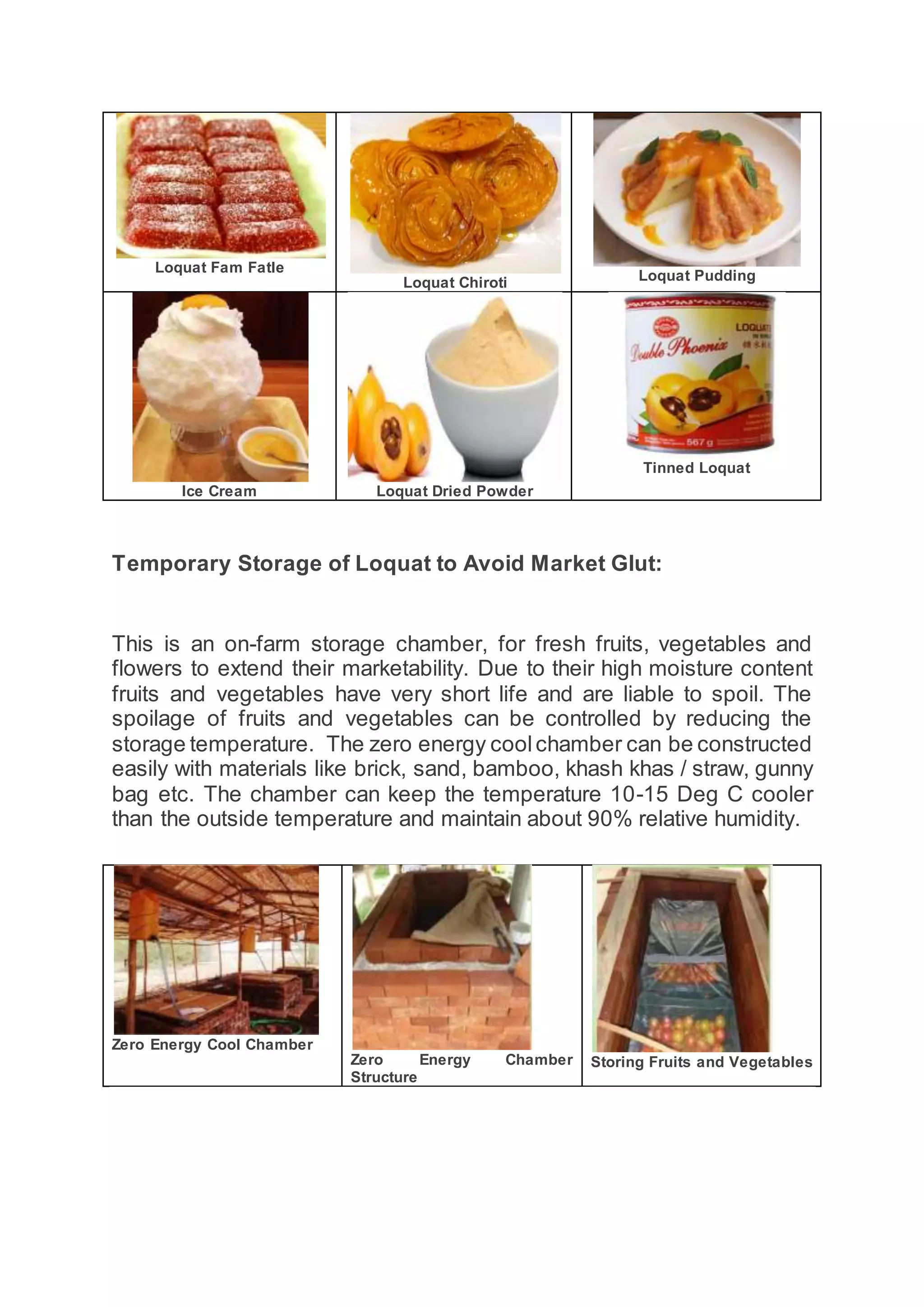 Loquat processing | DOCX