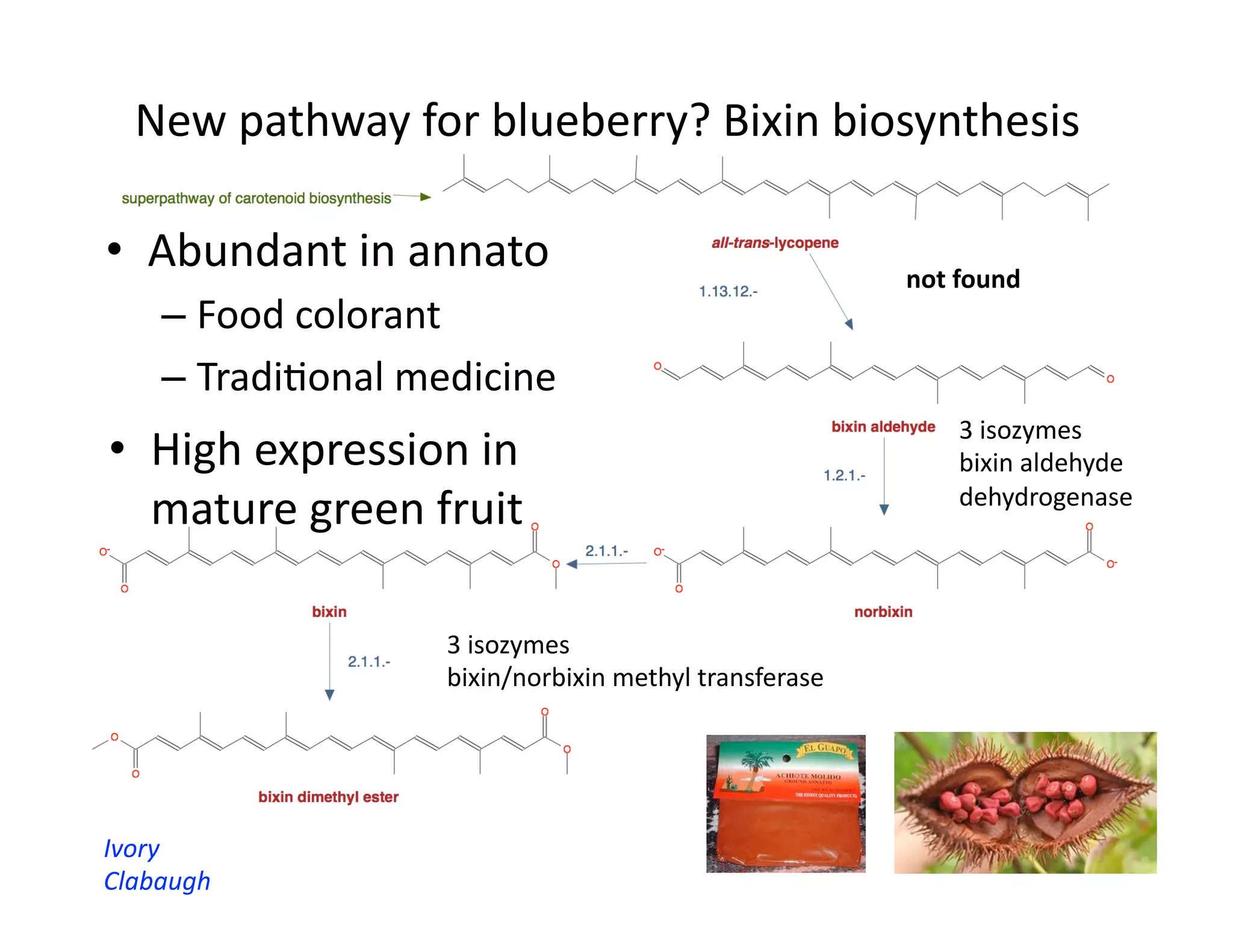 RNA-Seq Analysis of Blueberry Fruit Development and Ripening | PPT