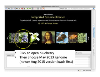 RNA-Seq Analysis of Blueberry Fruit Development and Ripening | PPT