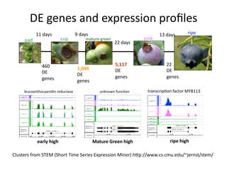 RNA-Seq Analysis of Blueberry Fruit Development and Ripening | PPT