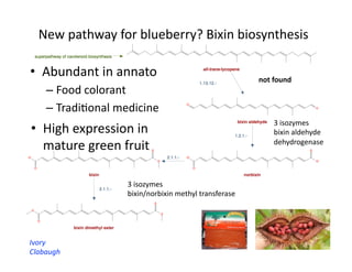RNA-Seq Analysis of Blueberry Fruit Development and Ripening | PPT