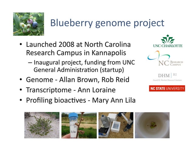 RNA-Seq Analysis of Blueberry Fruit Development and Ripening | PPT