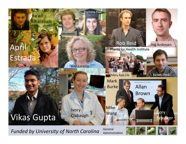 RNA-Seq Analysis of Blueberry Fruit Development and Ripening | PPT