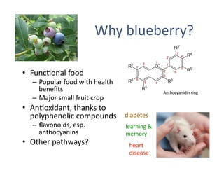 RNA-Seq Analysis of Blueberry Fruit Development and Ripening | PPT