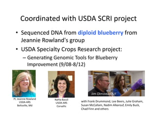 RNA-Seq Analysis of Blueberry Fruit Development and Ripening | PPT