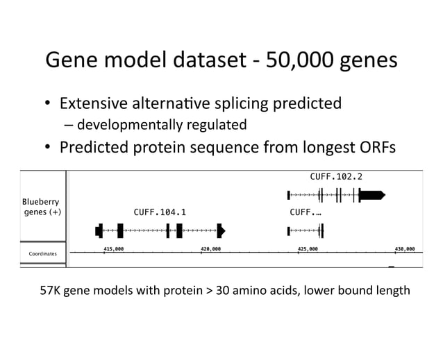 RNA-Seq Analysis of Blueberry Fruit Development and Ripening | PPT