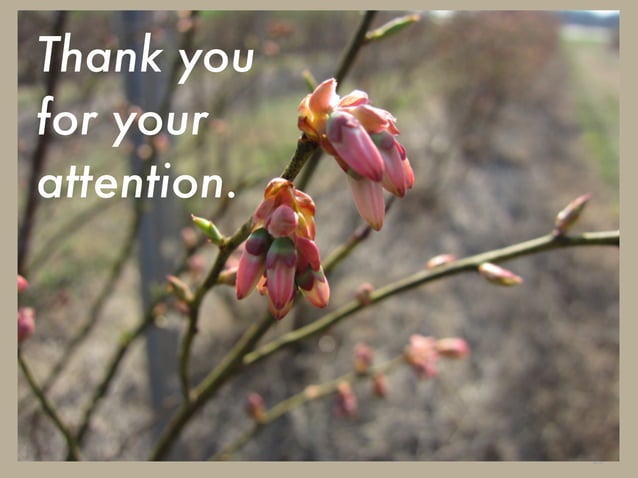 RNA-Seq analysis of blueberry fruit identifies candidate genes involved ...