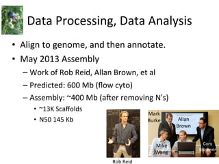 RNA-Seq analysis of blueberry fruit identifies candidate genes involved ...