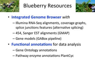 RNA-Seq analysis of blueberry fruit identifies candidate genes involved ...