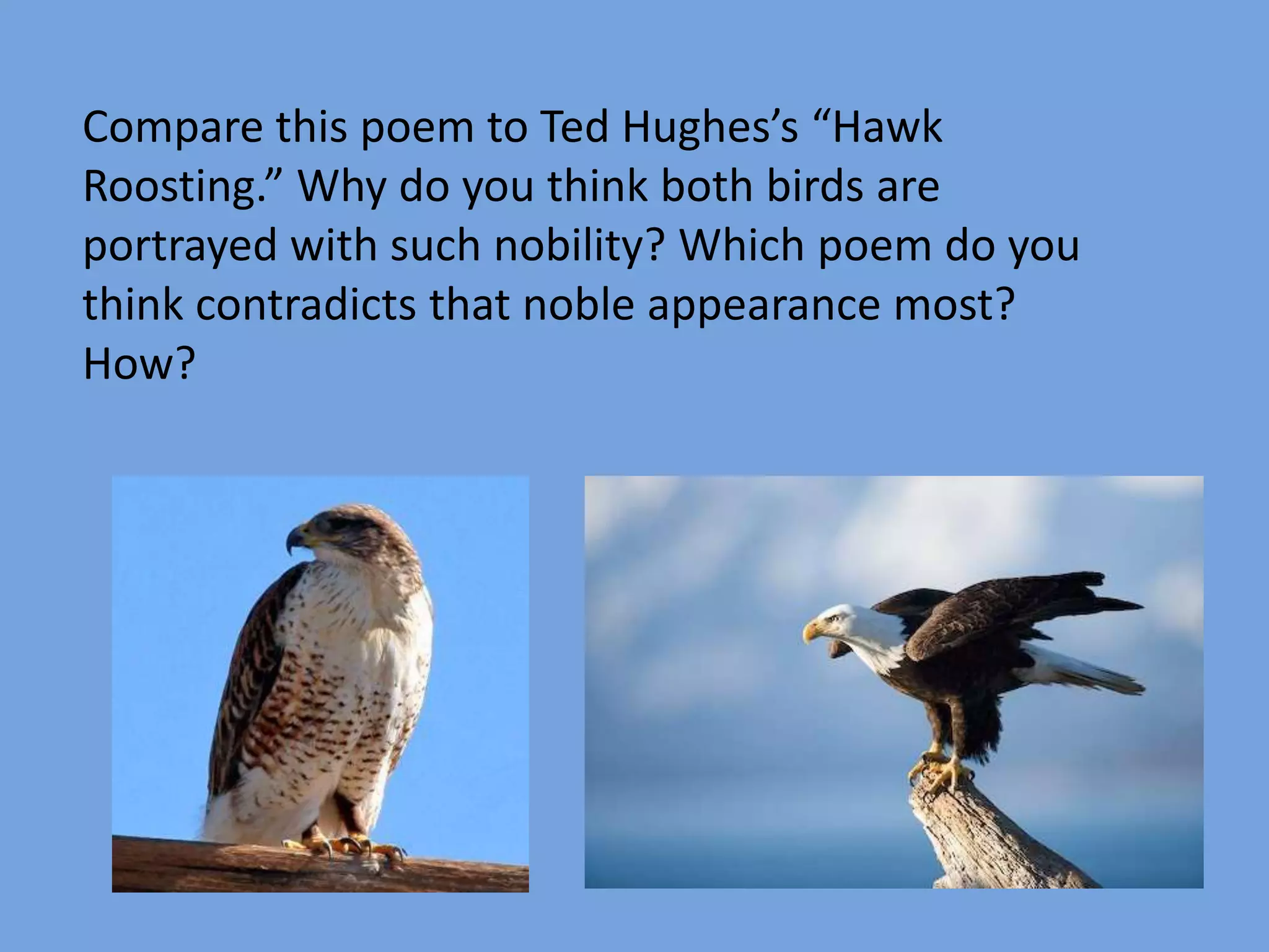 Lord Alfred Tennyson The Eagle | PPTX