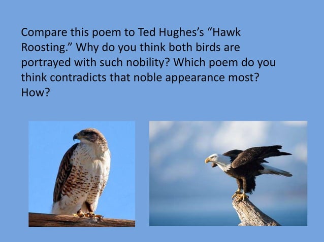 Lord Alfred Tennyson The Eagle | PPTX | Birdwatching | Hobbies & Interests