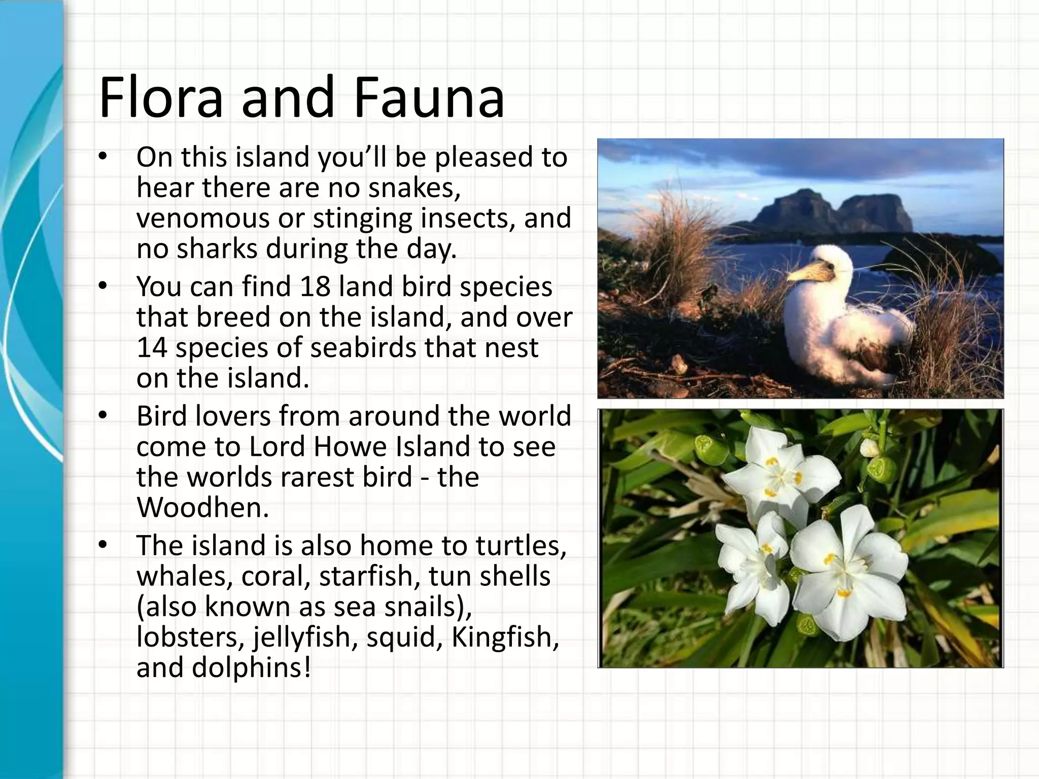 Lord Howe Island Presentation | PPTX