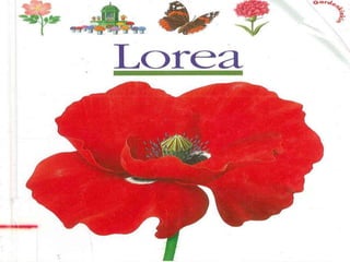 Lorea | PPTX