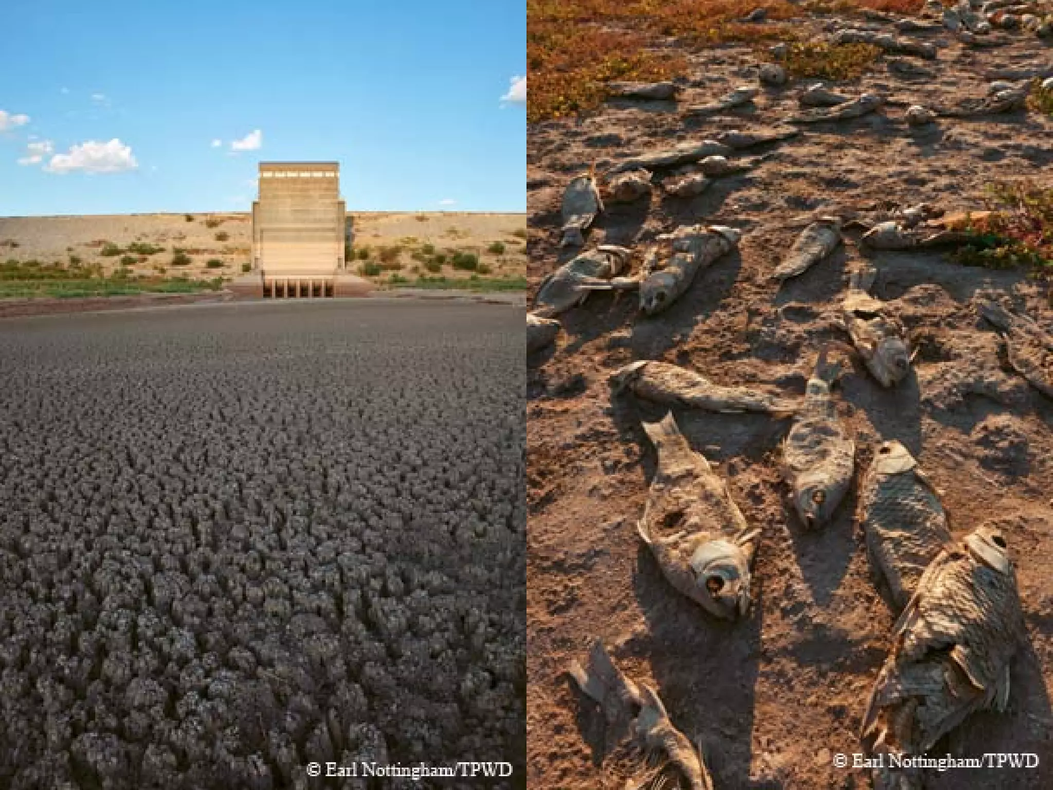 Drought water conservation TCEQ perspective 2-3-12 | PDF