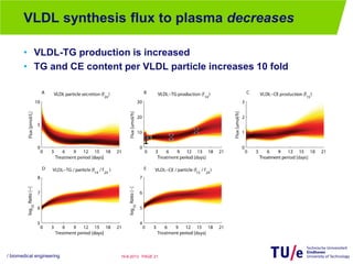 Can a combination of constrained-based and kinetic modeling bridge time ...