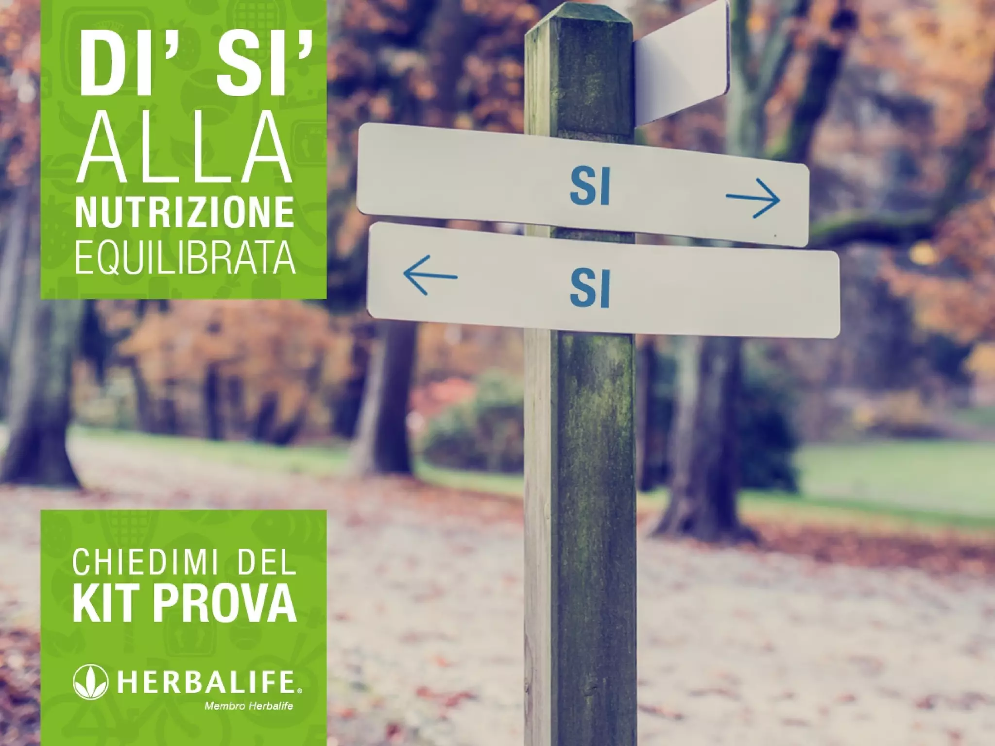 Kit prova Herbalife | PDF | Herbs and Supplements | Alternative Medicine