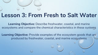 Earth's Water | PPTX