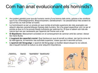 L’origen dels homínids | PPT