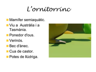 L ornitorinc | PPS