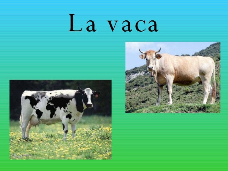 Los Animales De La Granja