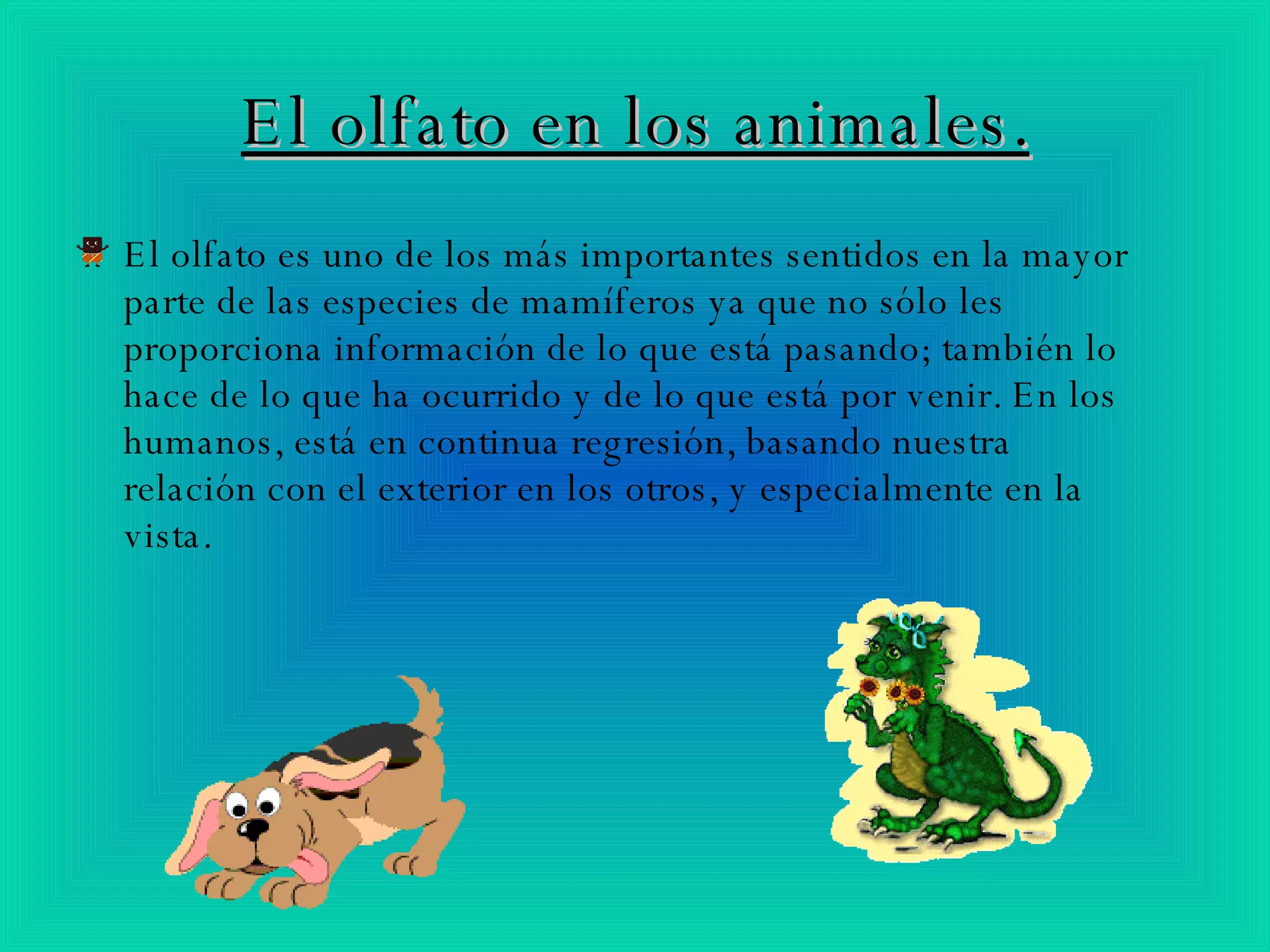 Los Animales Y Sus Sentidos | PPT