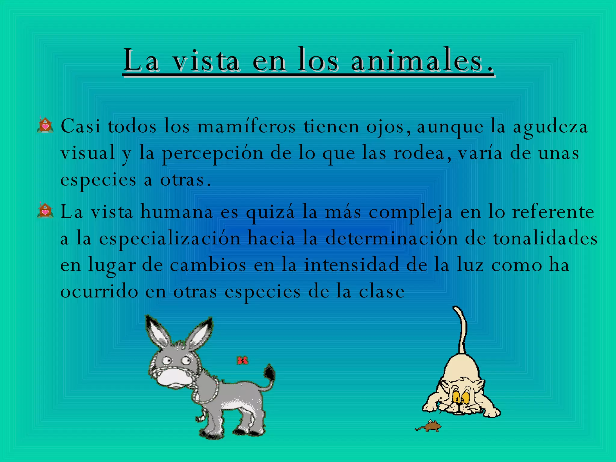 Los Animales Y Sus Sentidos | PPT