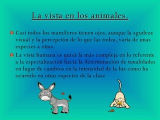 Los Animales Y Sus Sentidos | PPT