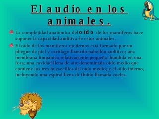 Los Animales Y Sus Sentidos | PPT
