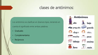 Los antónimos | PPTX