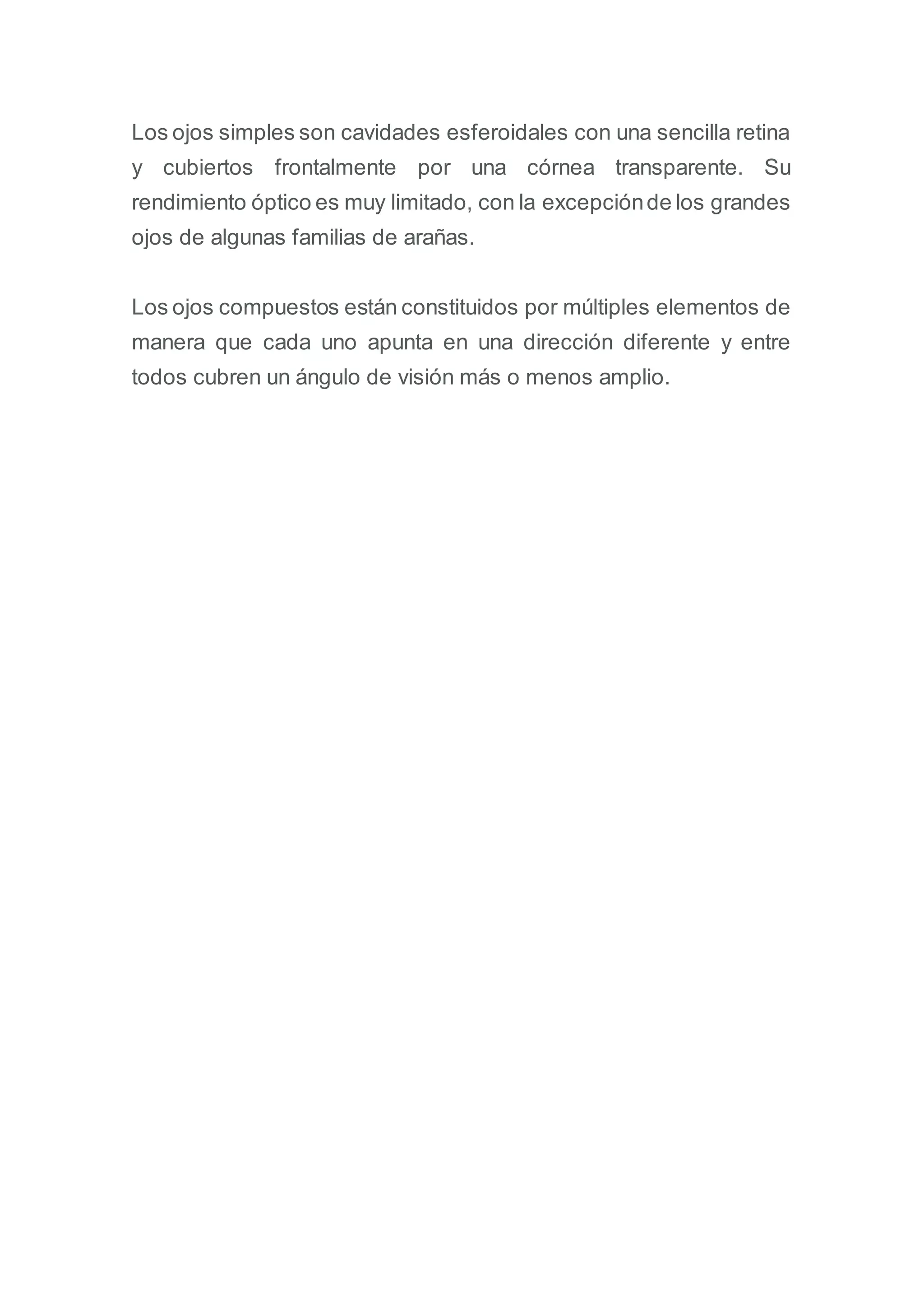 Los artrópodos en tercero primaria | DOCX