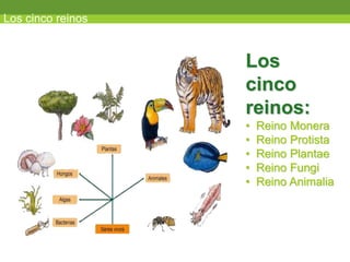 los-cinco-reinos.ppt