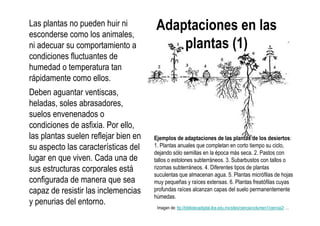 los-ecosistemas.pdf ecosistemas terrestrel | PDF | Biological Sciences ...