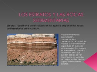 Los Fosiles | PPT