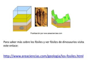 Los Fosiles | PPTX