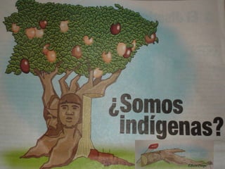 Los Grupos Tainos De Puerto Rico | PPT