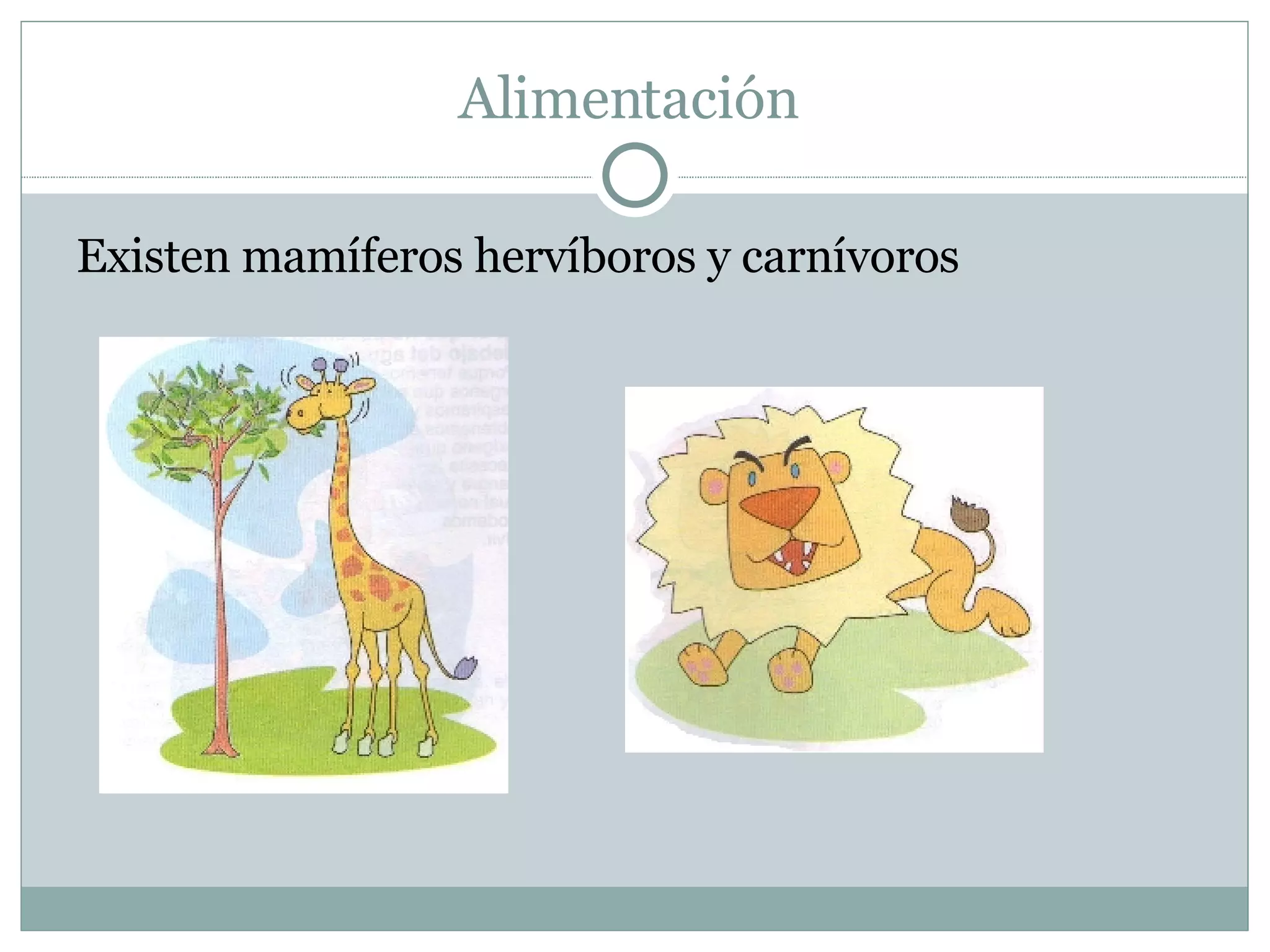 Los Mamiferos | PPT