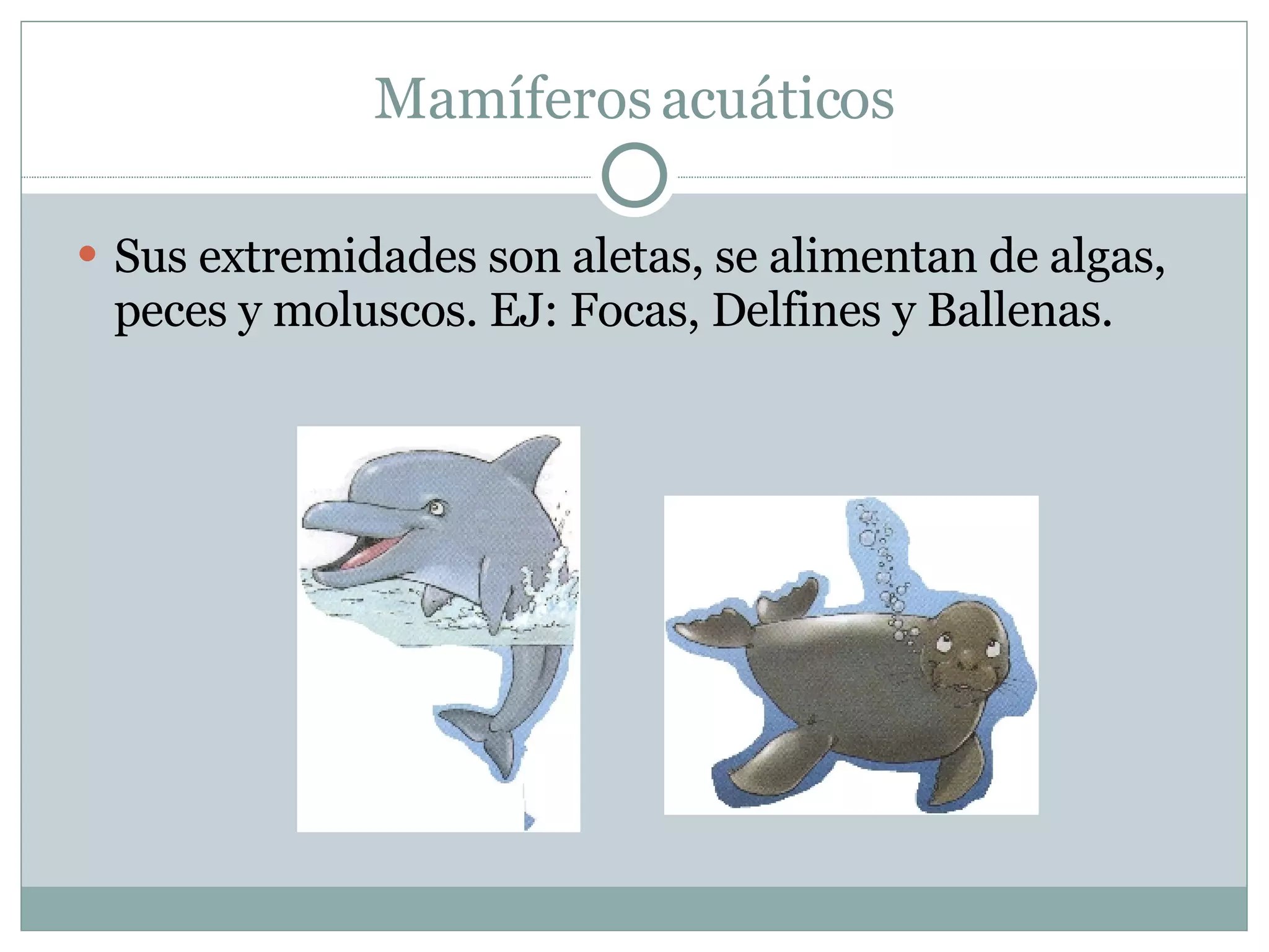 Los Mamiferos | PPT