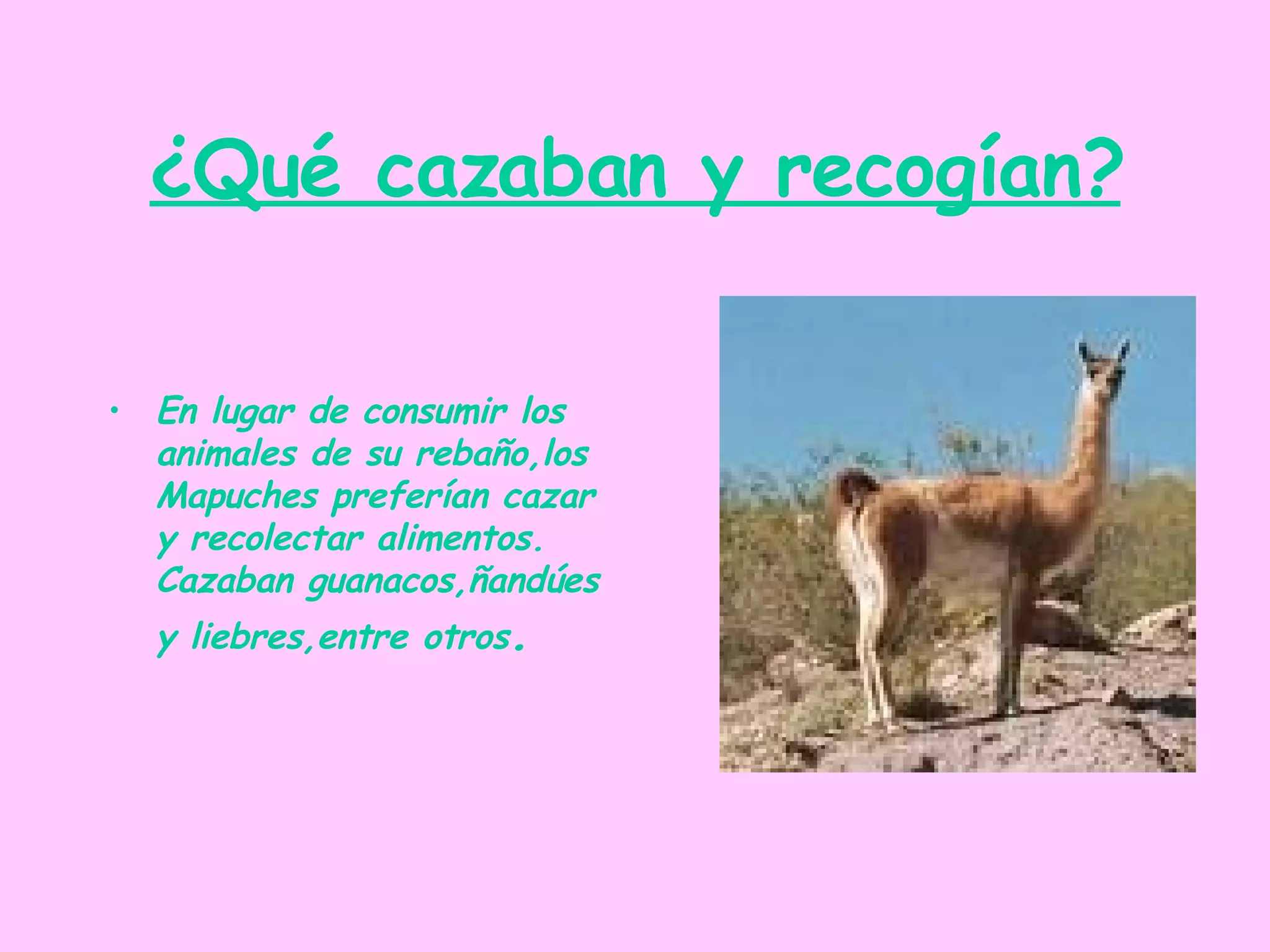 Los Mapuches Constanza Y Paloma | PPT