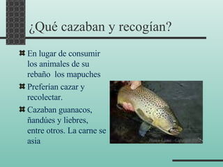 Los Mapuches Juan Cami | PPT