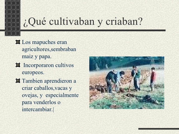 Los Mapuches Juan Cami