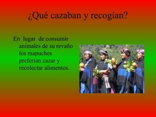 los-mapuches-ppt1.ppt cultura, zona e información | PPT