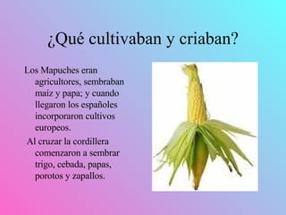 Los Mapuches Yakelin Rocio | PPT