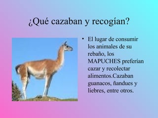 Los Mapuches Yakelin Rocio | PPT